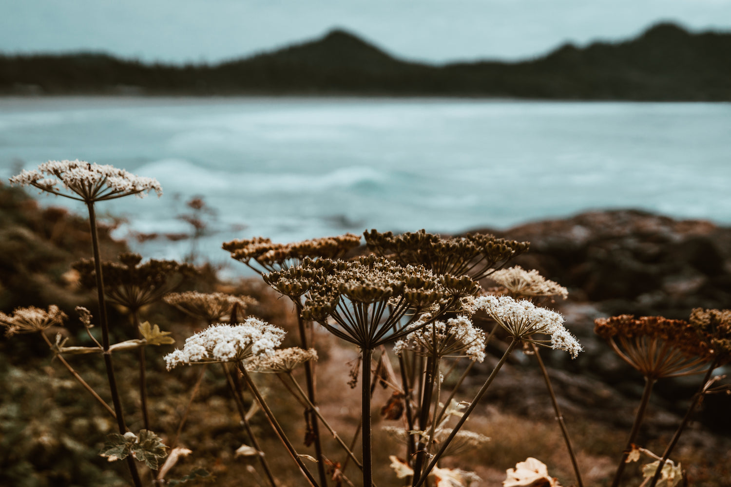 Shop the Latest Trends in Fashion & Home Decor at K&Co. Online Store ...